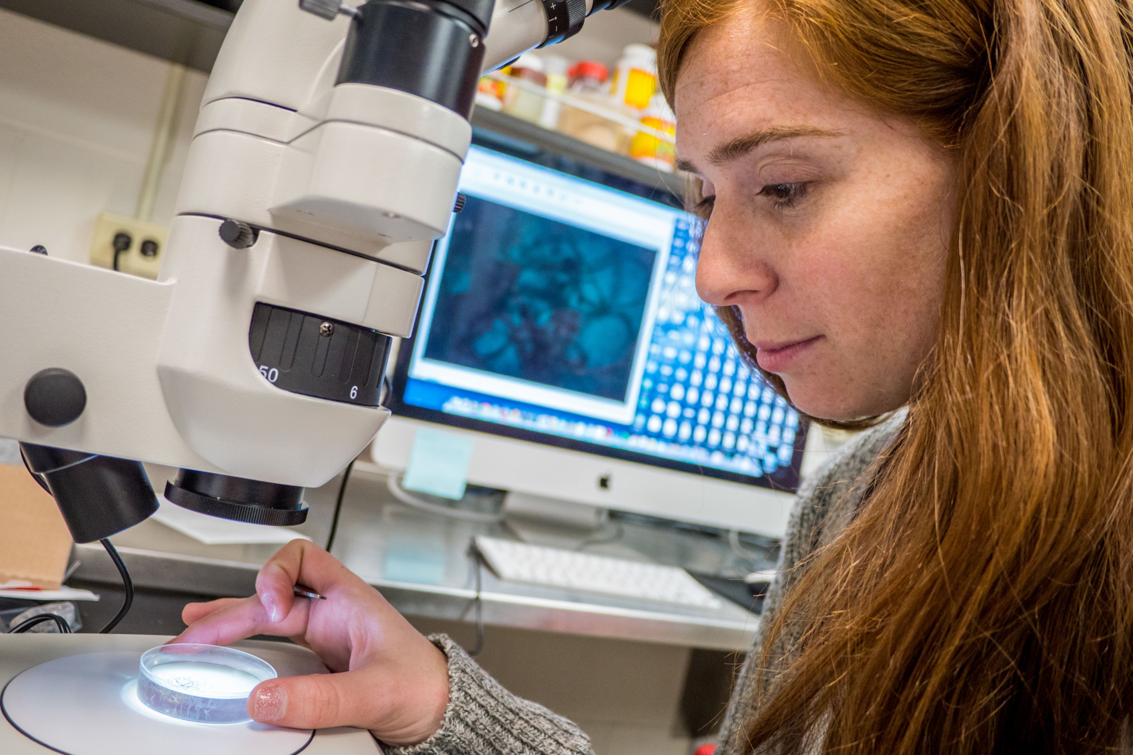 MS In Biology (Master's) - Academics - Montclair State University