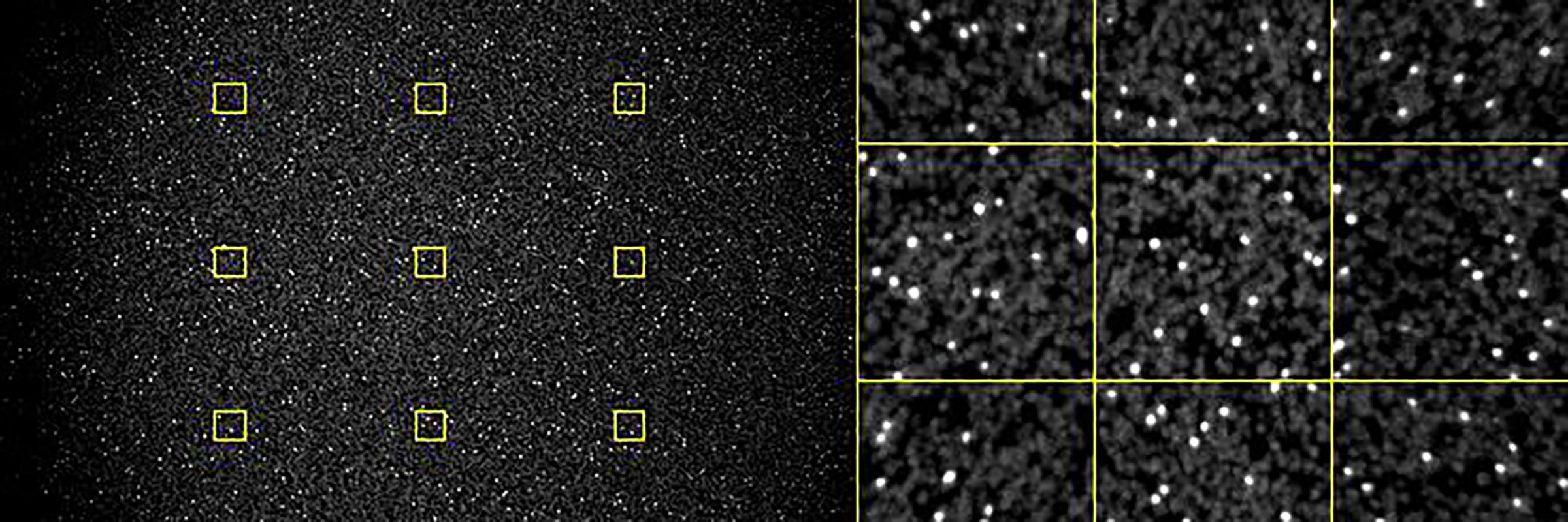 Next Generation Sequencing (NGS) With The Illumina MiSeq – Biology ...