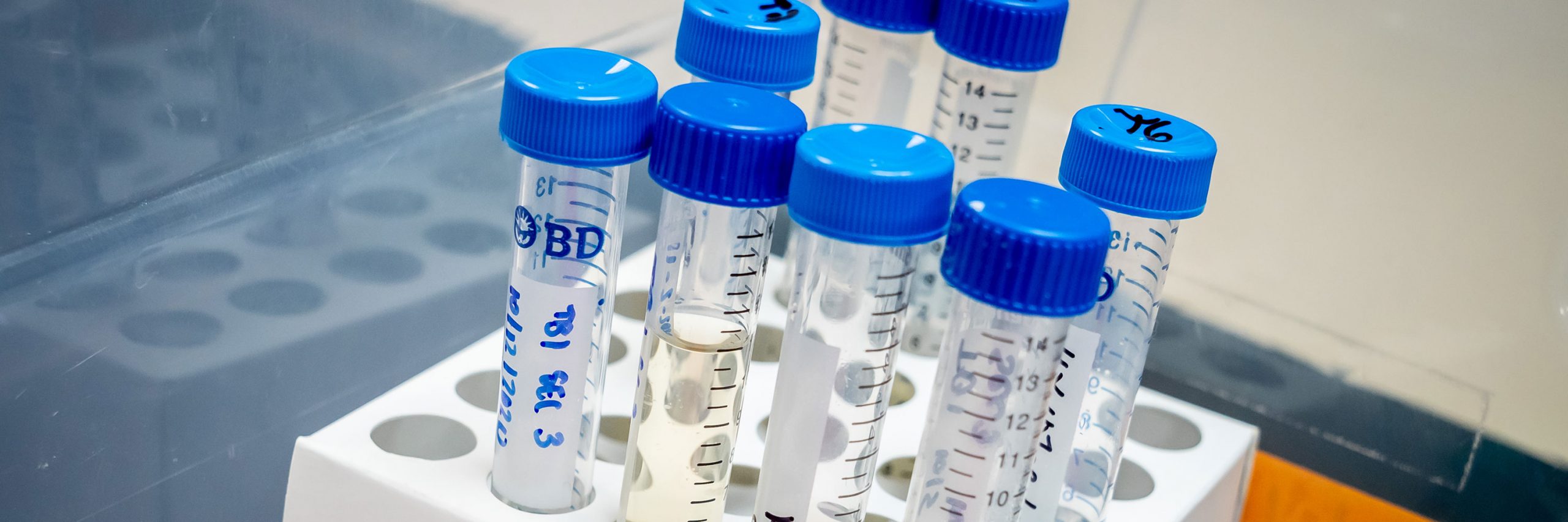 Replicate Bioscience Initiates A Phase 1 Trial Of Its Next-Generation ...