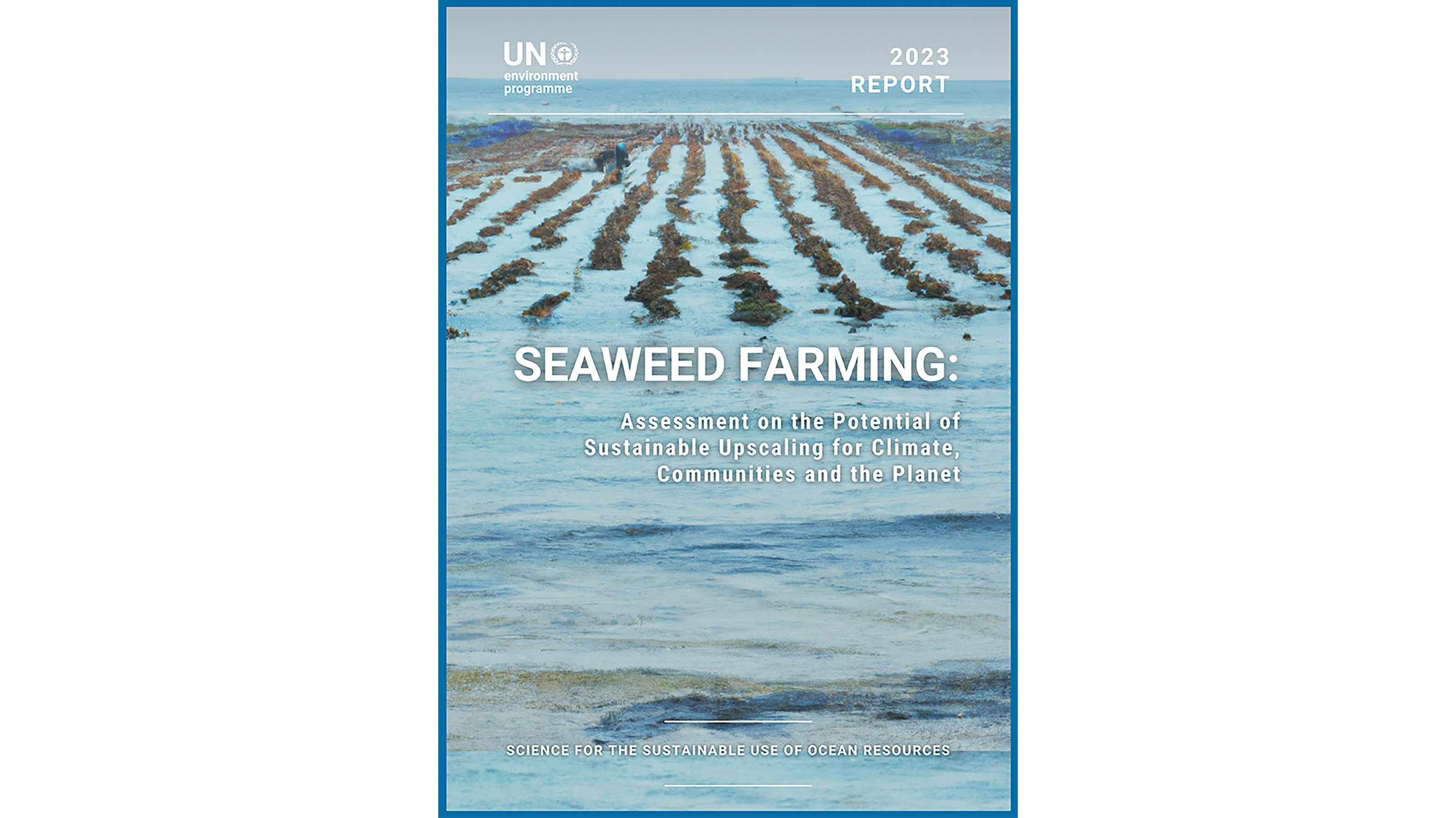 Seaweed Farming – Biology - Montclair State University