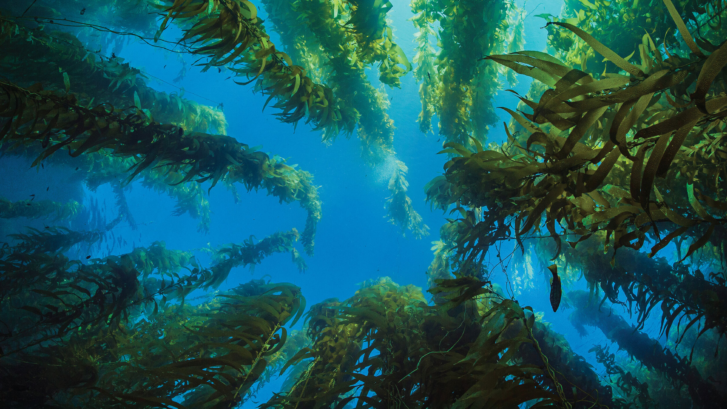 The Silent Signals Of Climate Change Biology Montclair State University