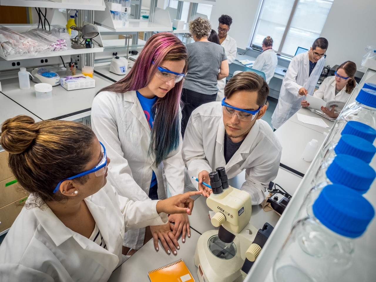 Prepare For Graduate School – Career Services - Montclair State University