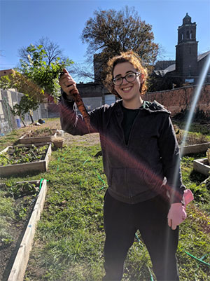 Robin Bach – College Of Education And Human Services - Montclair State ...