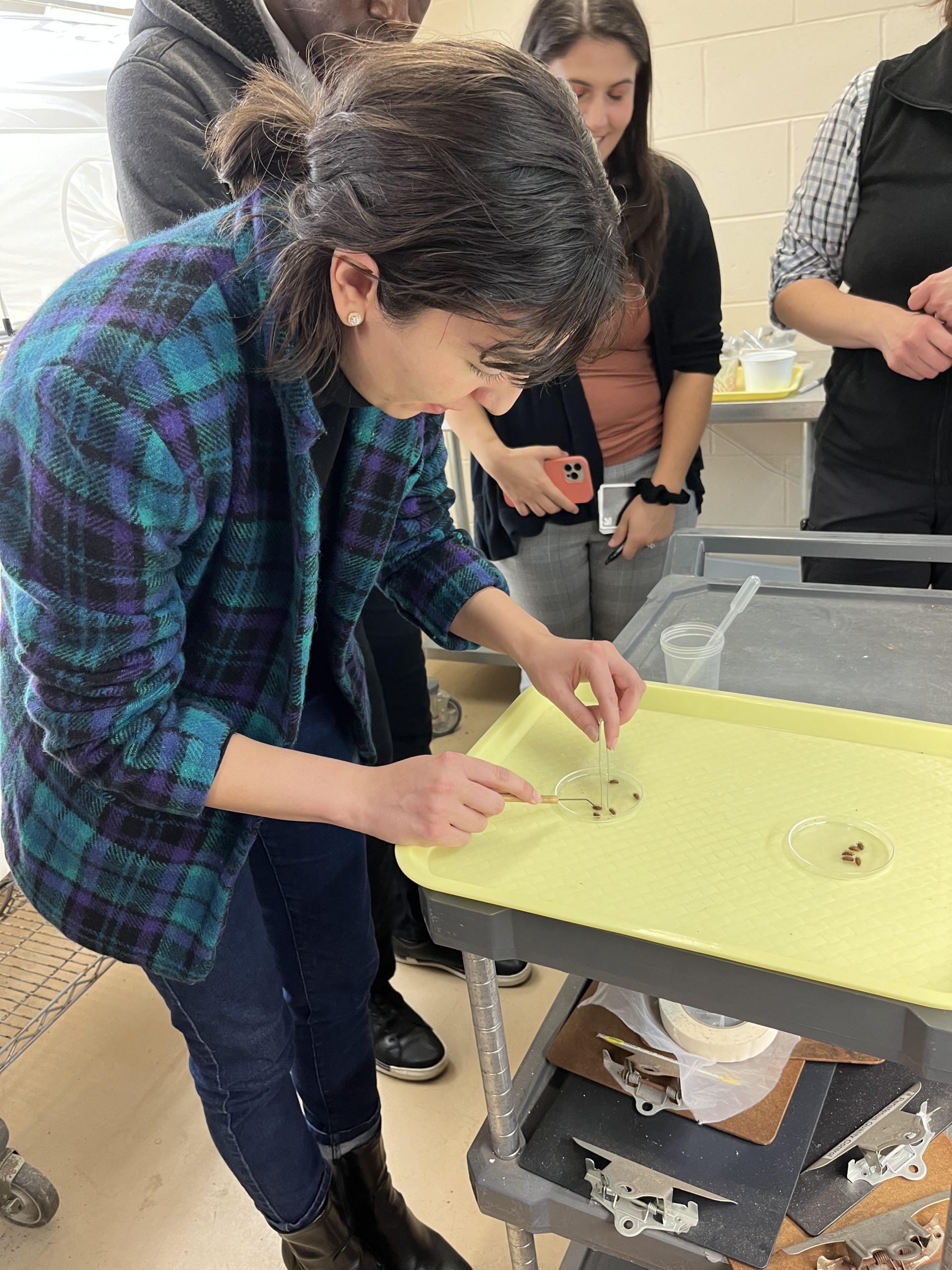 Students Invited To The NJDA Beneficial Insect Laboratory By The NJ ...