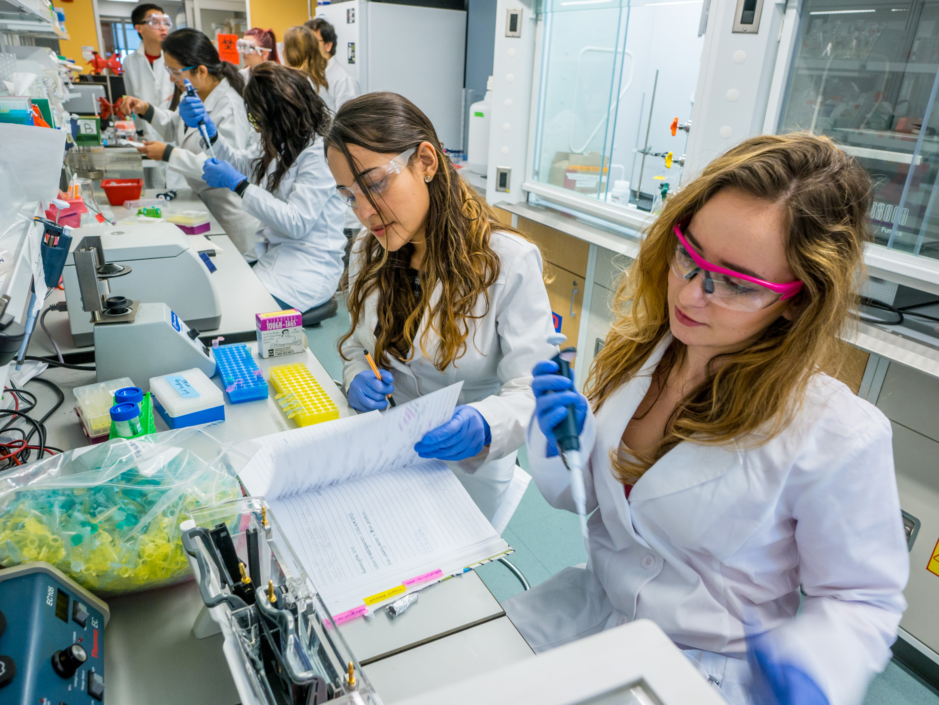 Chemistry And Biochemistry - Montclair State University