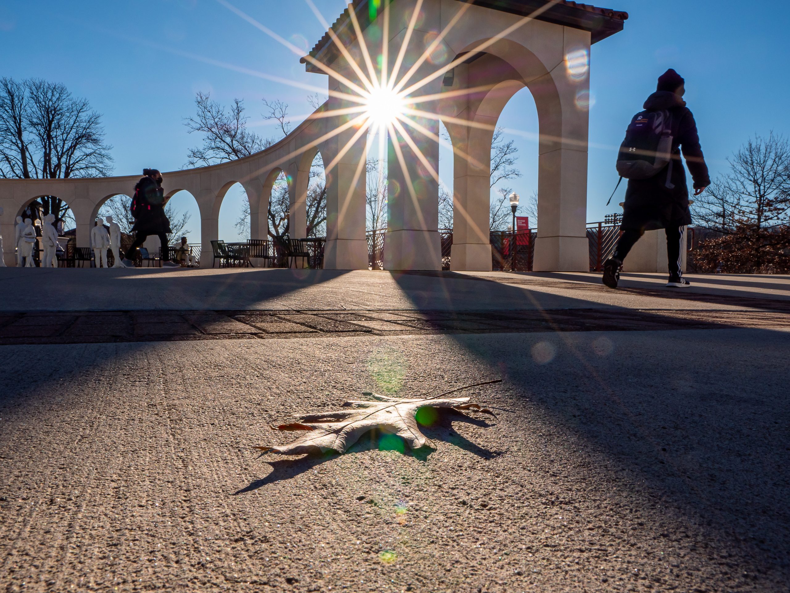 CHSS Interdisciplinary Groups – College Of Humanities And Social ...