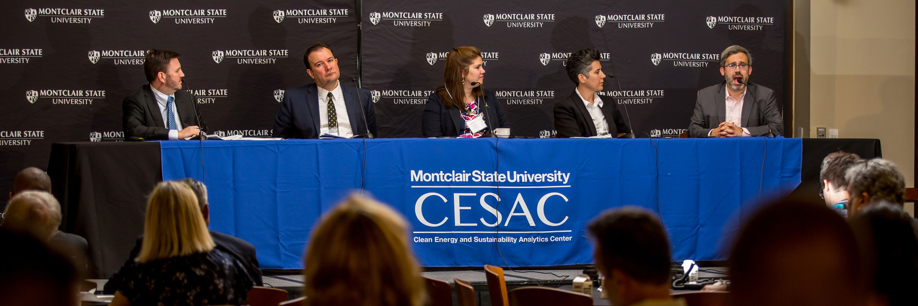 Photo And Media Gallery – Clean Energy And Sustainability Analytics ...