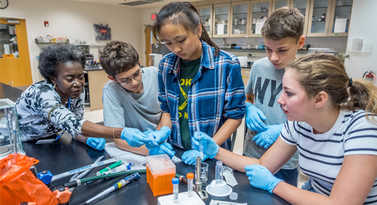 Learning Science By Doing Science – College Of Science And Mathematics ...