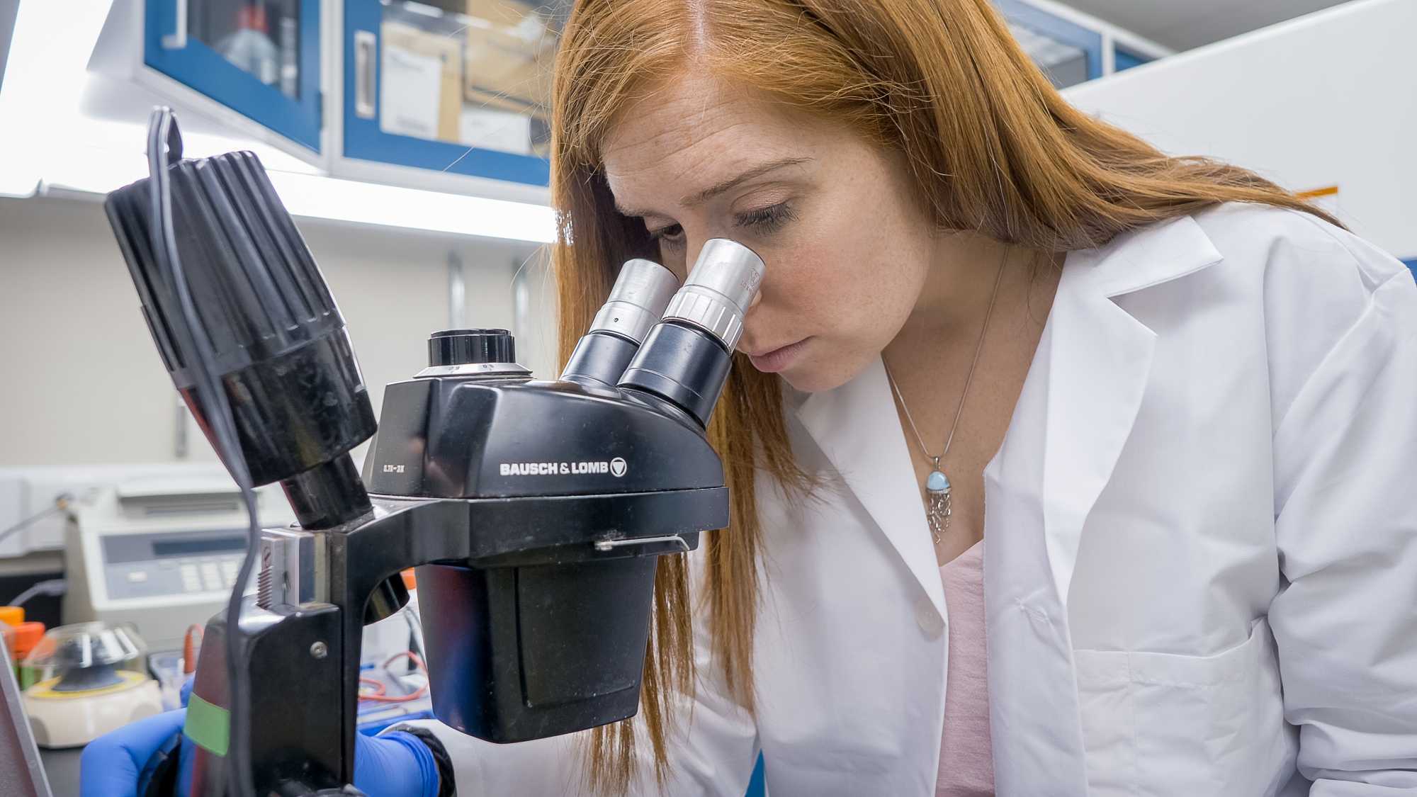 Student Profile: Dena Restaino – College Of Science And Mathematics ...