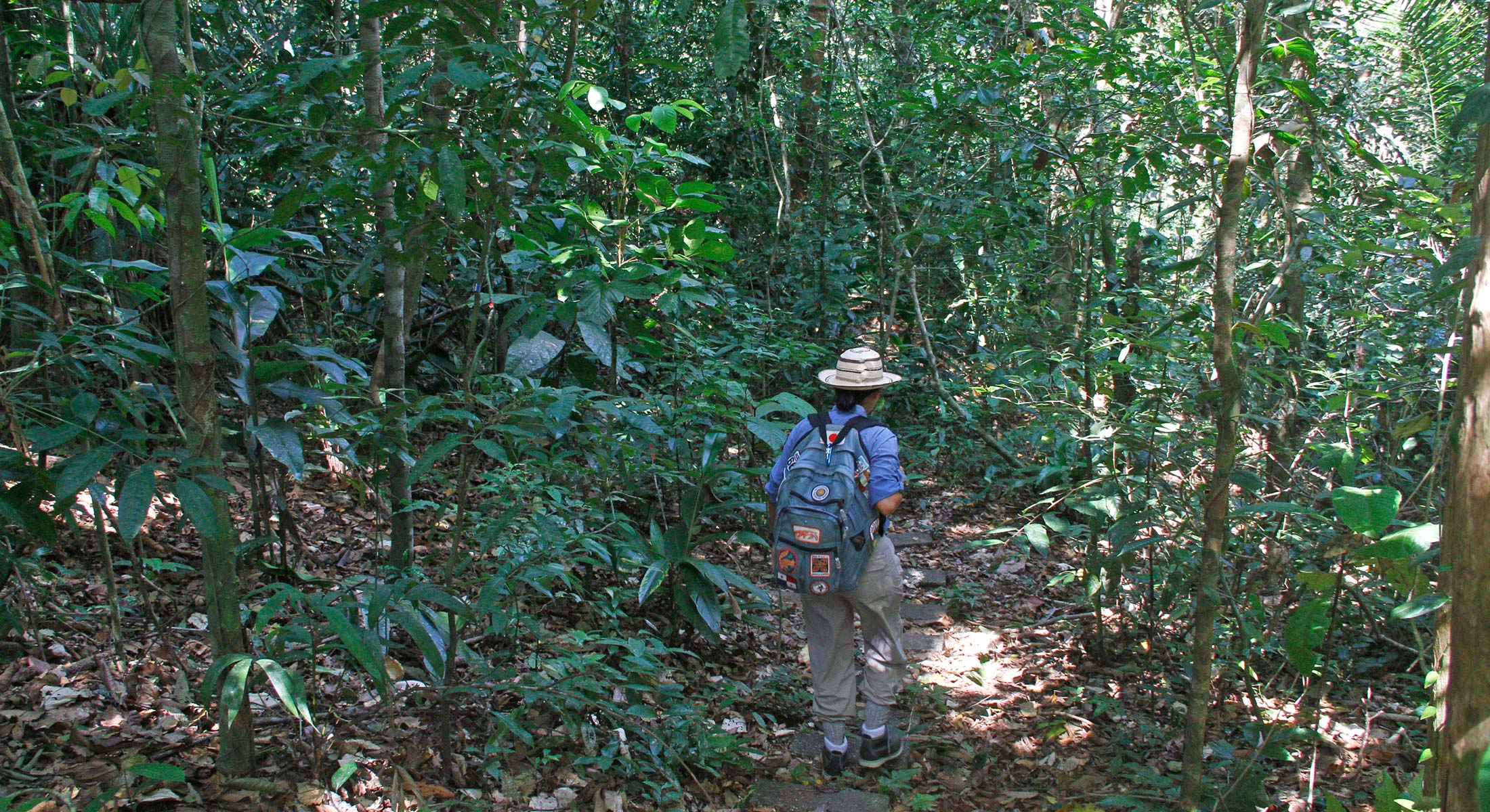 Technology Connects A Laboratory Island Of Panama With The Academy Of ...