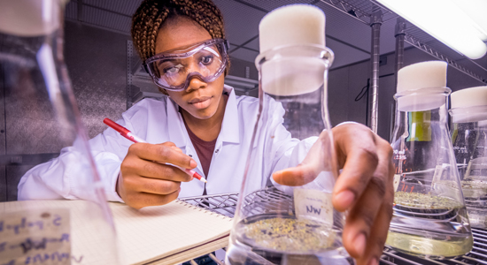 Water Science And Technology – College Of Science And Mathematics ...