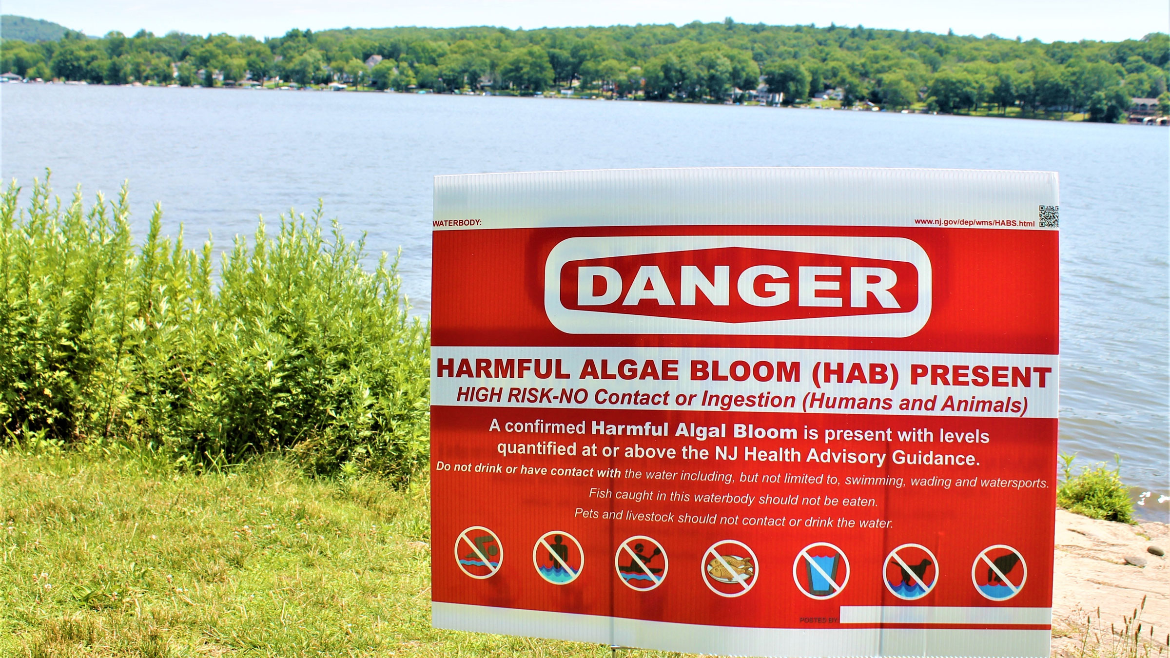 Professor Discusses Algae Bloom In Nearby Lakes – College Of Science ...