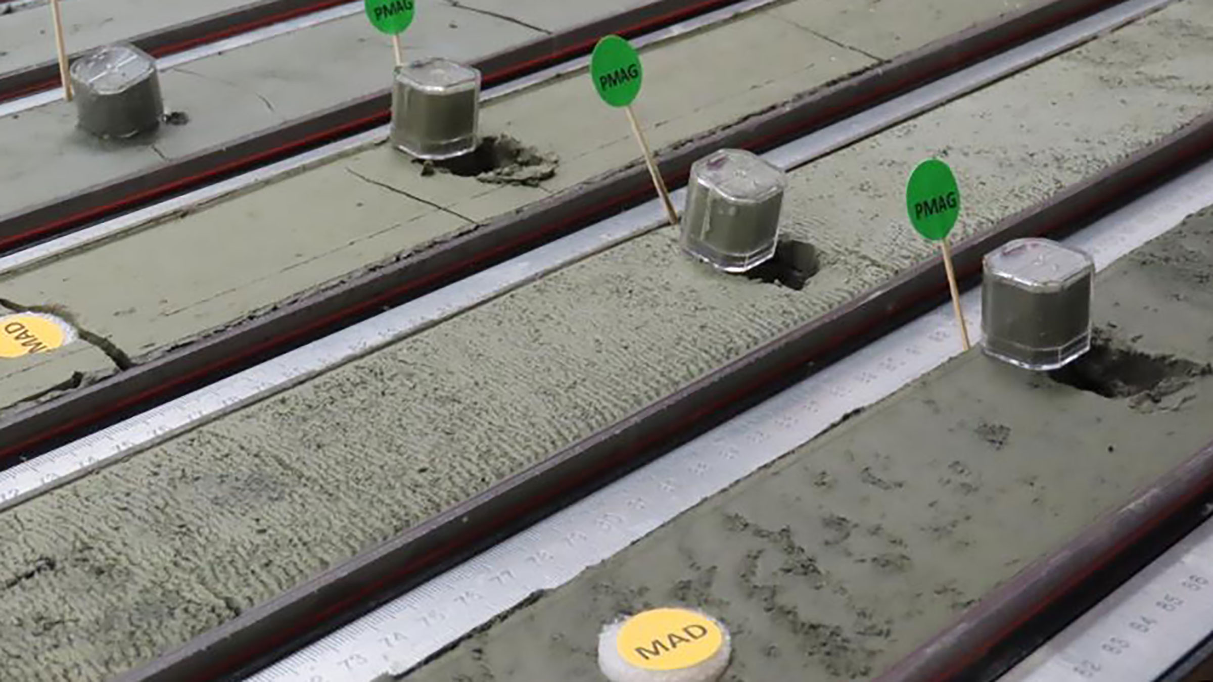 Professor Is Part Of Nature Communication Study On Ancient Marine DNA In Antarctic Sediment ...