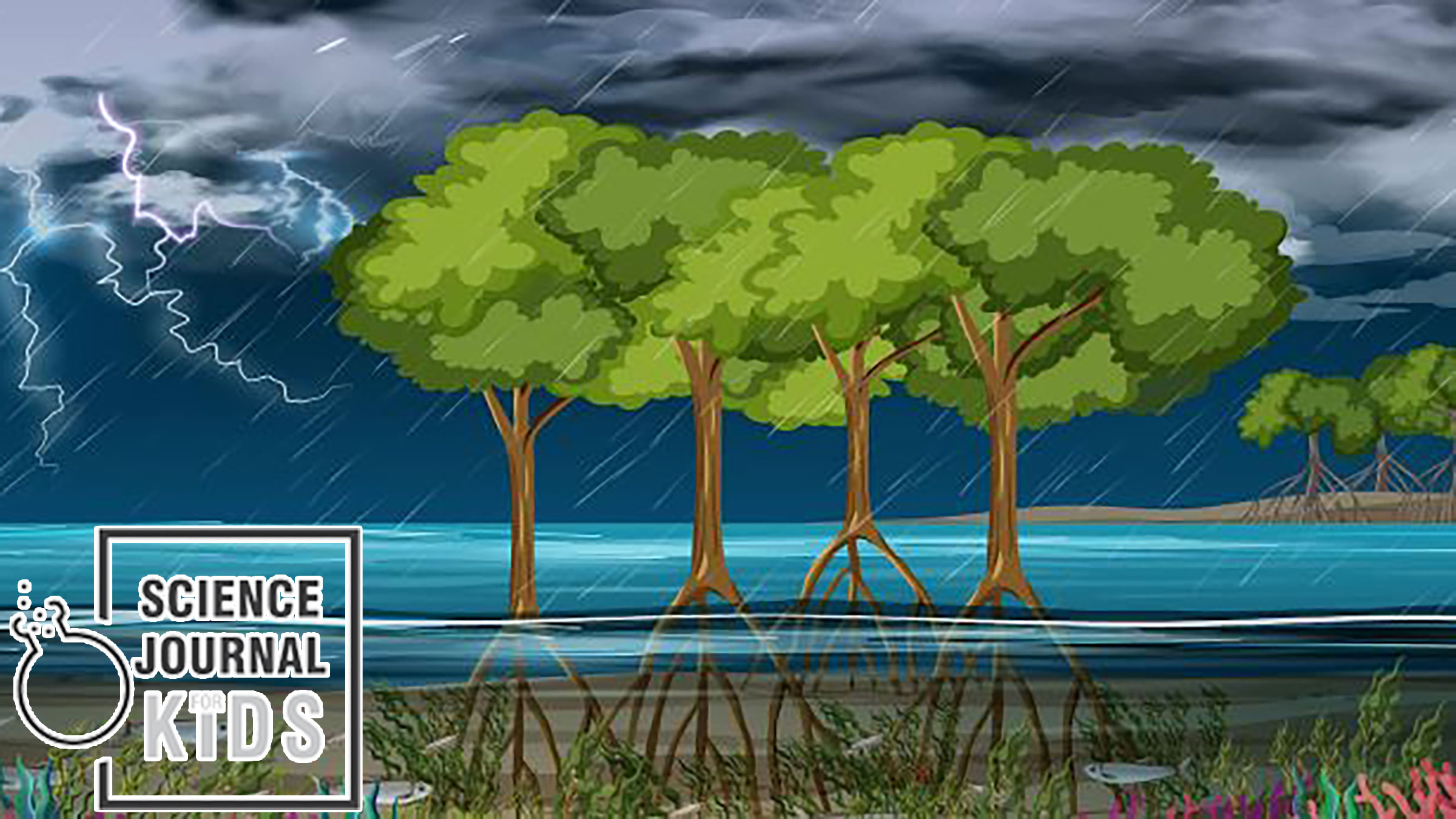 How Do Storms Impact Coastal Ecosystems? – College Of Science And ...