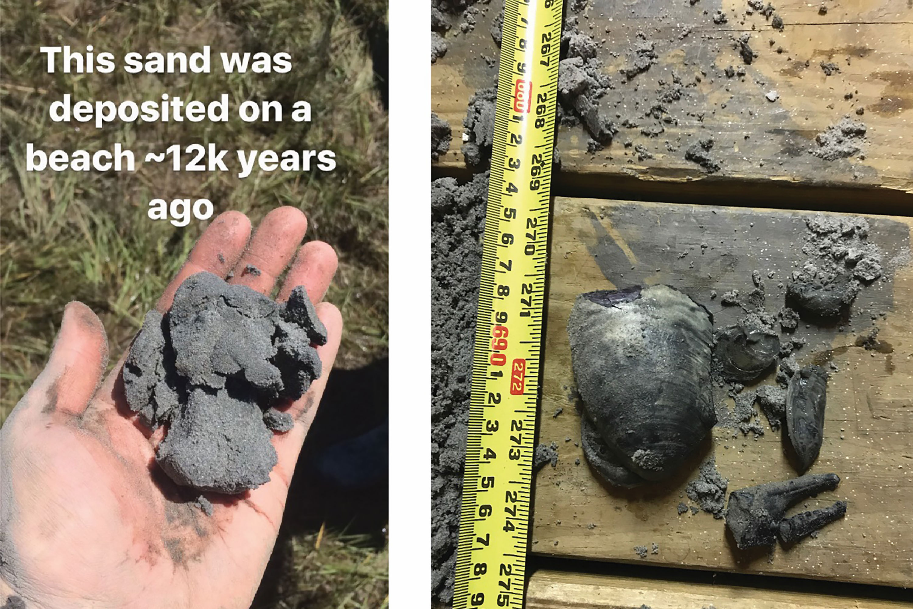 Coders With Cores Going To Conferences – Environmental Science And ...