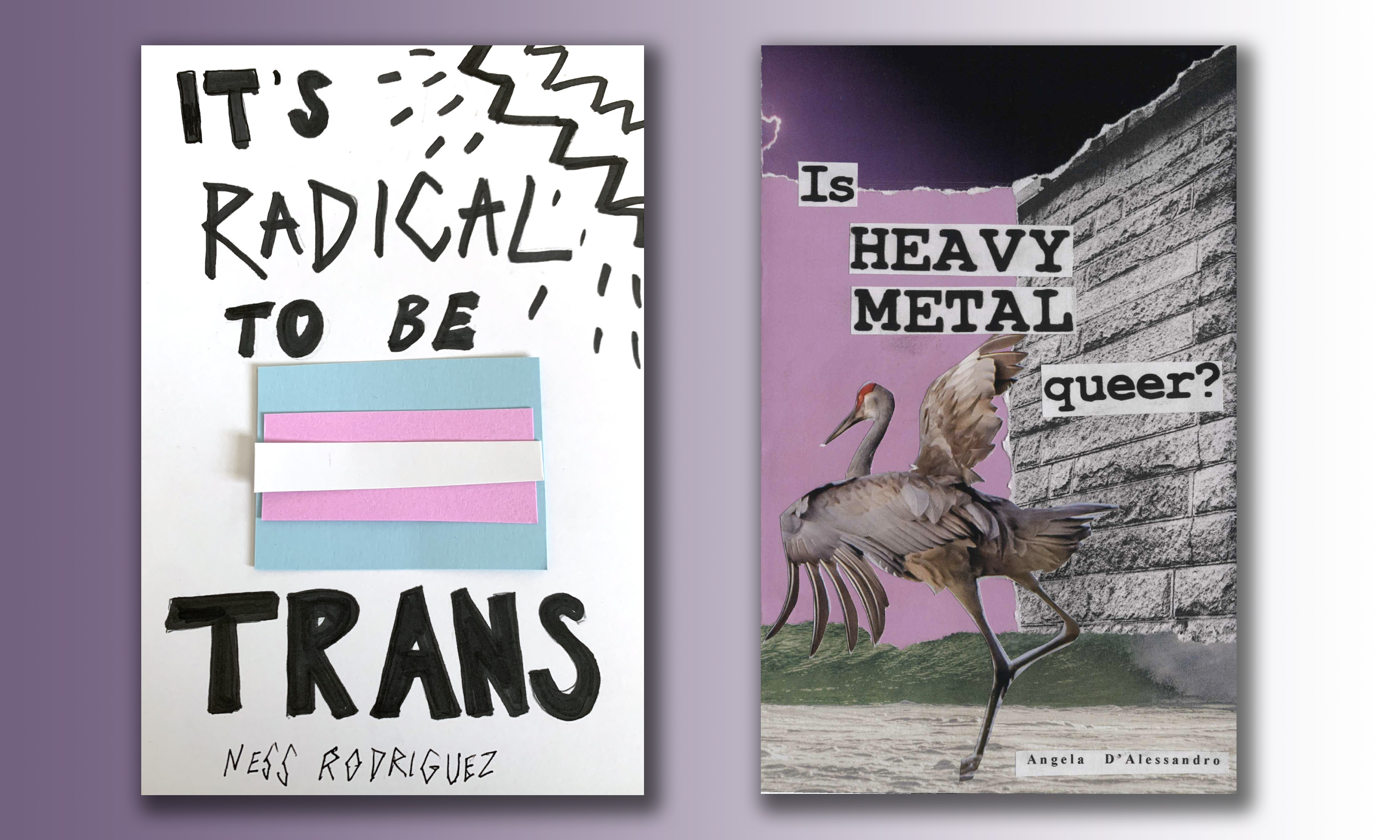 GLQS 201: Queer Identities In A Transforming World: The Trouble With ...