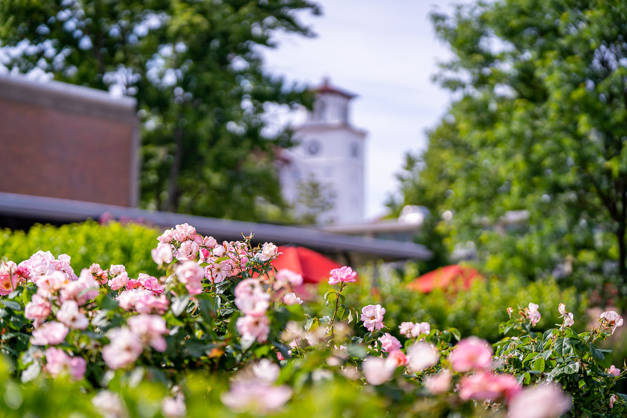 Graduate Admissions - Montclair State University