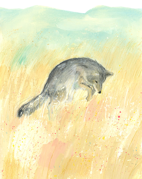 Review: The Wolves Of Yellowstone: A Rewilding Story – Institute For ...