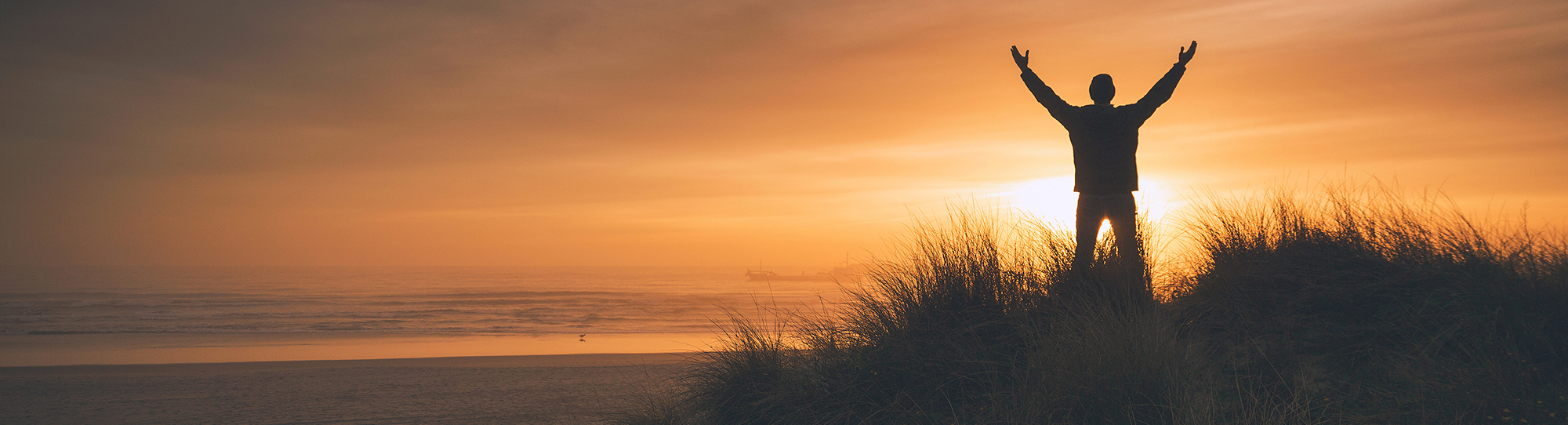 Workday Go-Live Success! – Information Technology Division - Montclair ...