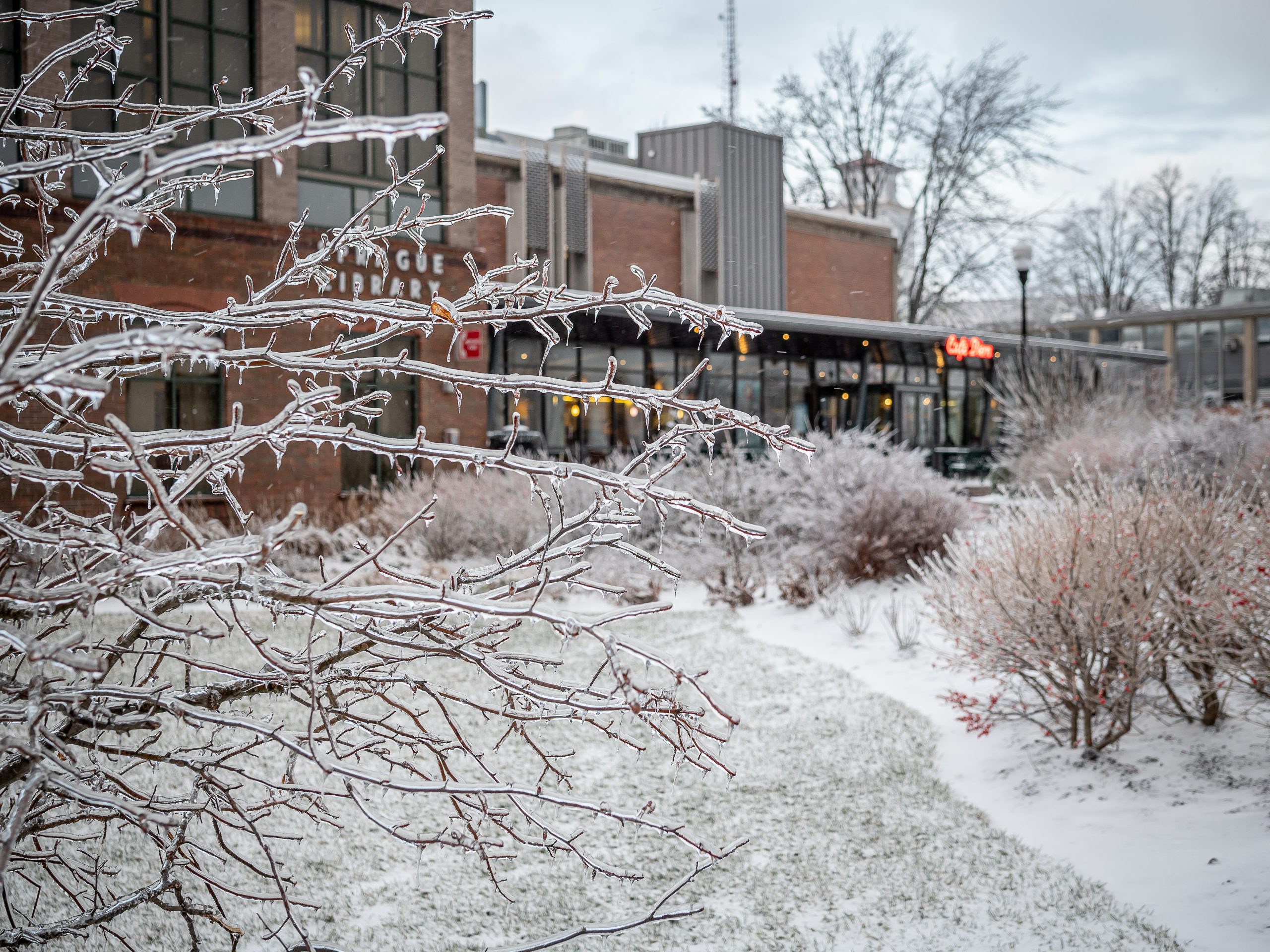 Harry A. Sprague Library - Montclair State University