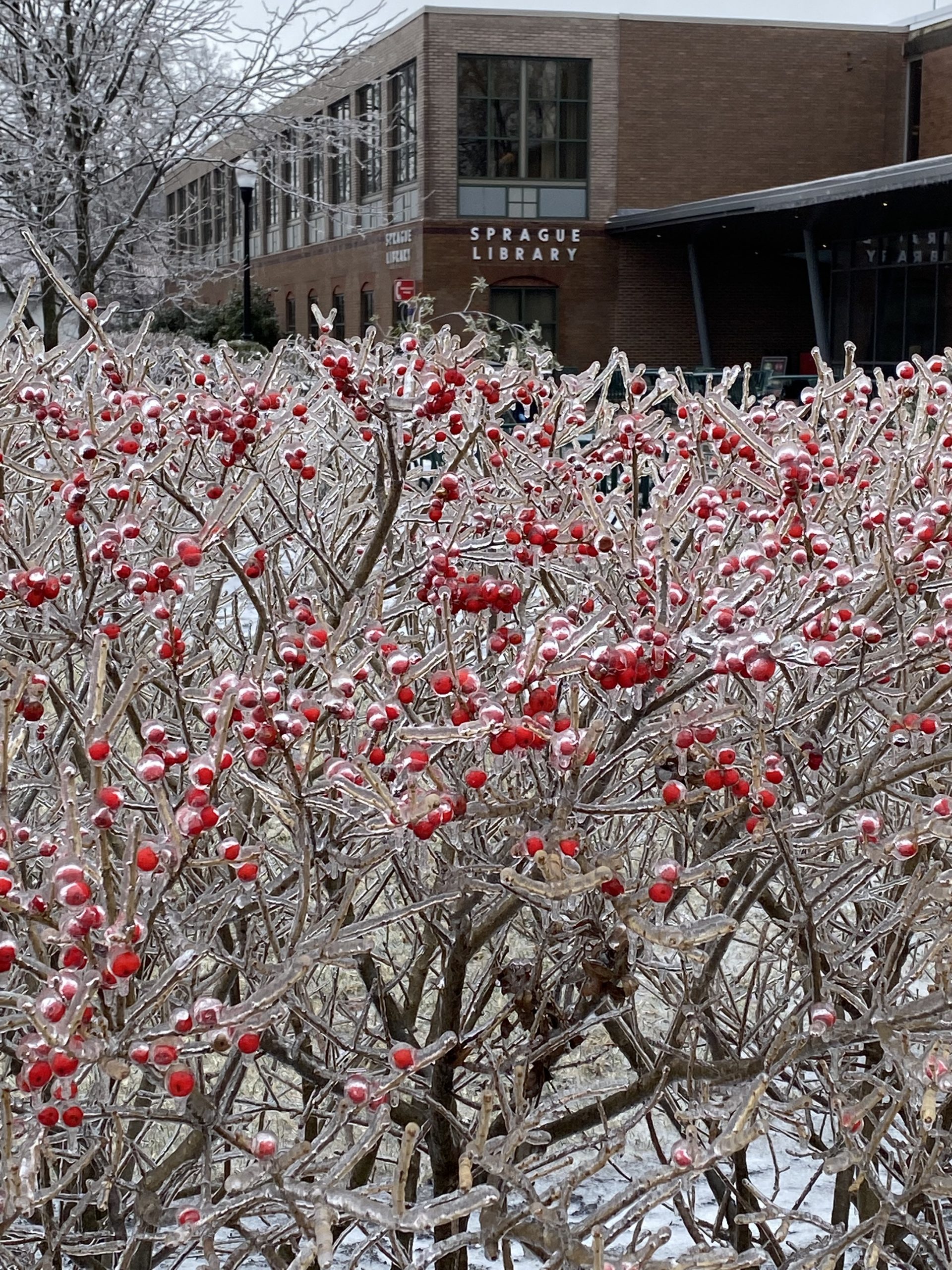 Library News – Harry A. Sprague Library - Montclair State University