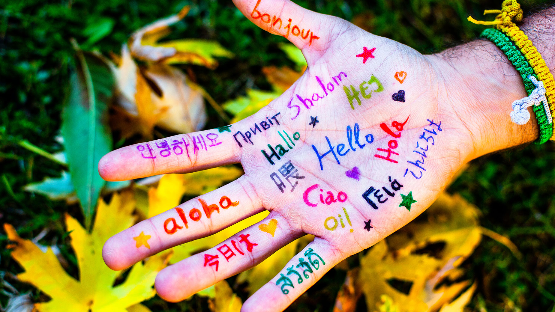 Modern Languages – Linguistics - Montclair State University