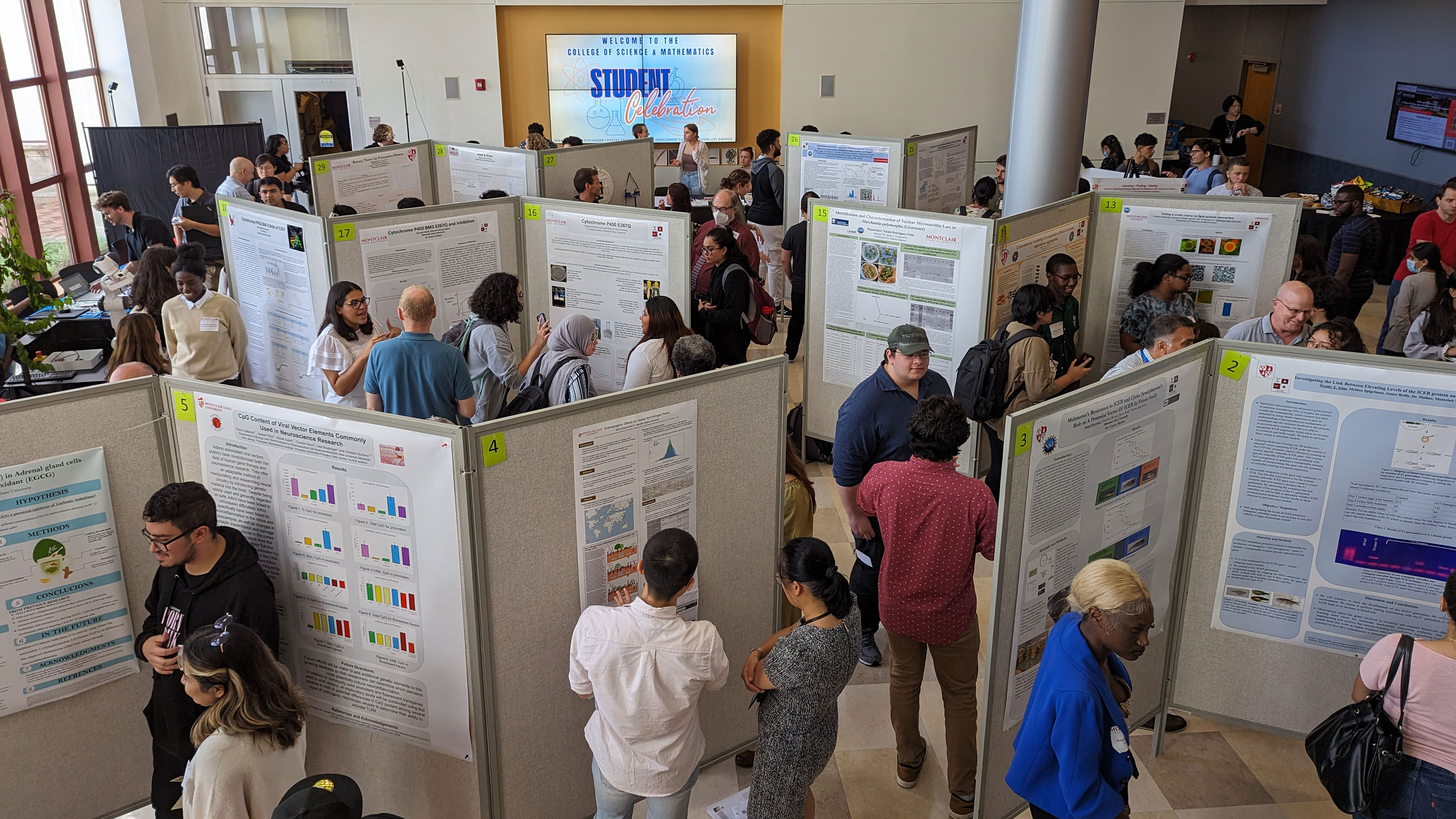 Mathematics Students At The CSAM Summer Research Program Poster Session ...