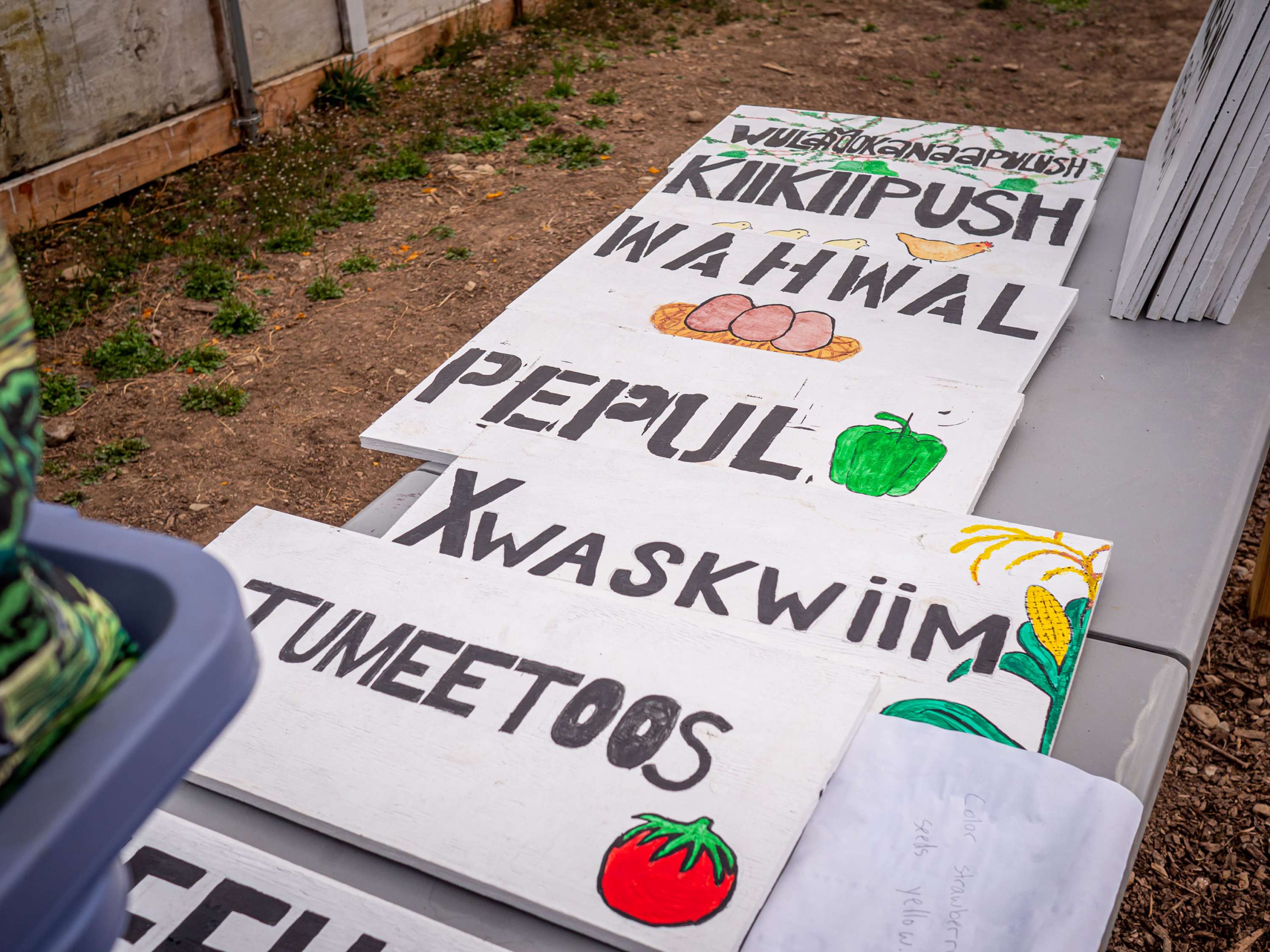 Students Plant Seeds To Revive A Native American Language – New Jersey ...