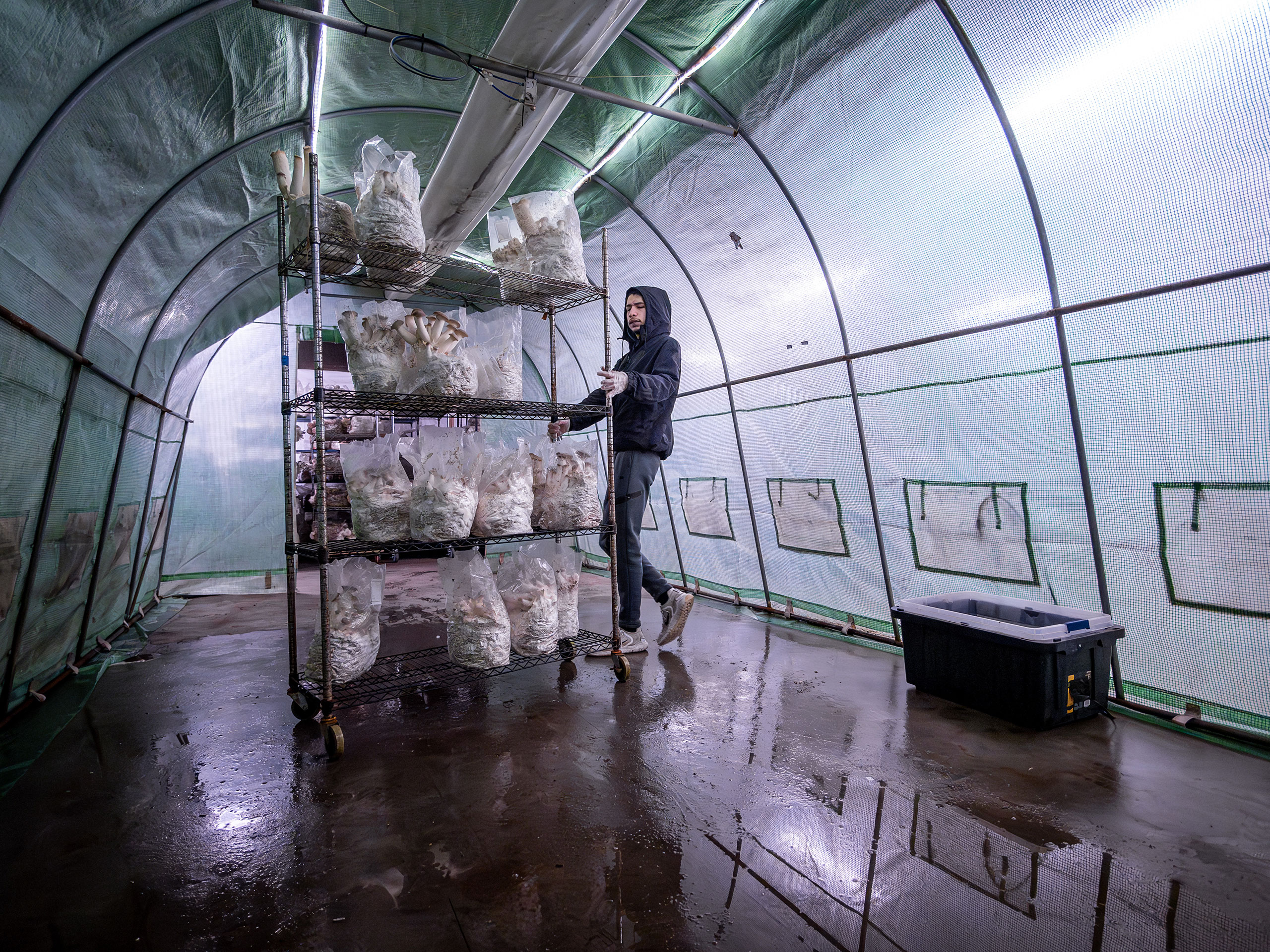Montclair Life: Class Of 2025 Graduate Connor Godek Grows A Sustainable ...