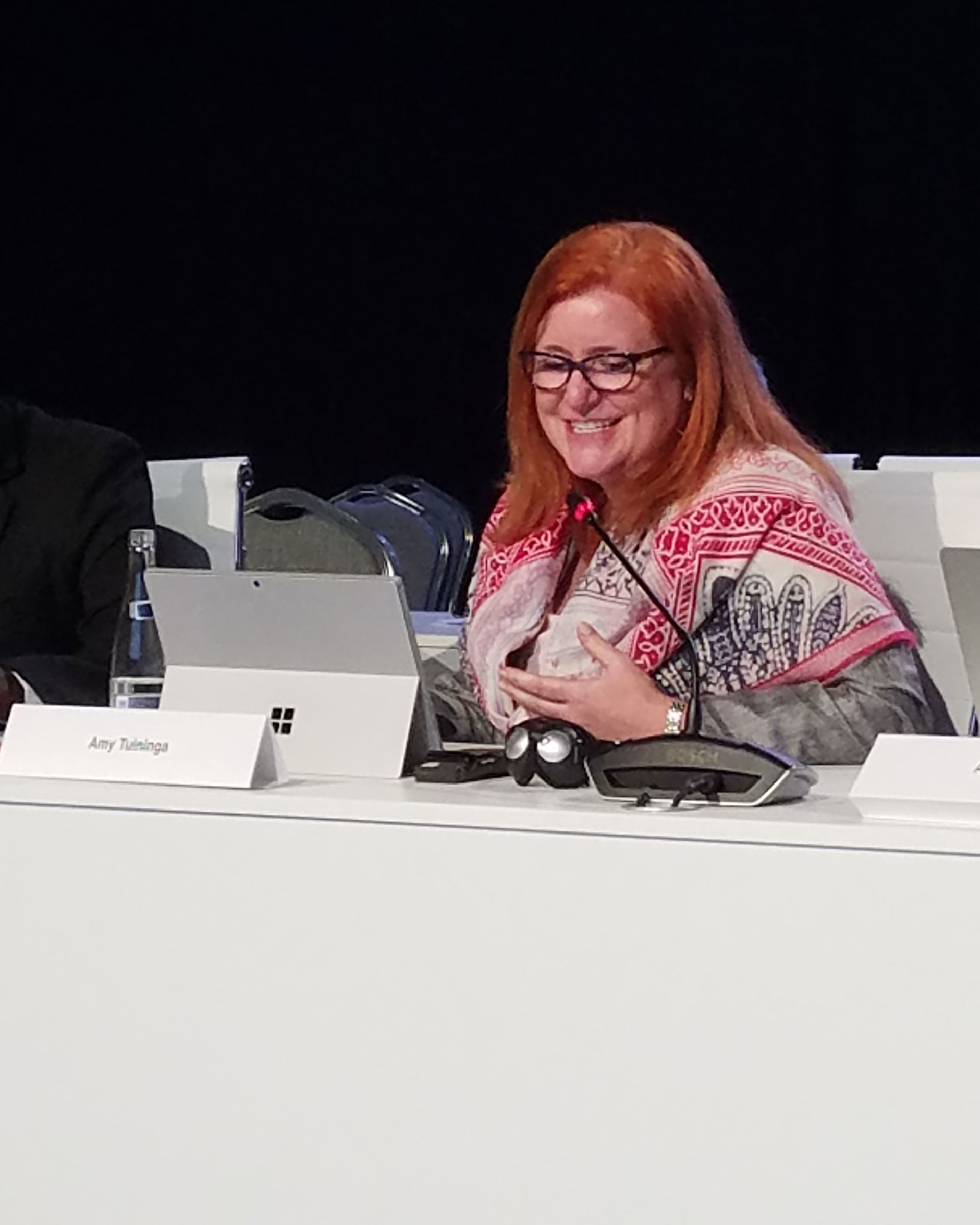 Institute Director Participates In United Nations Gatherings – PSEG ...