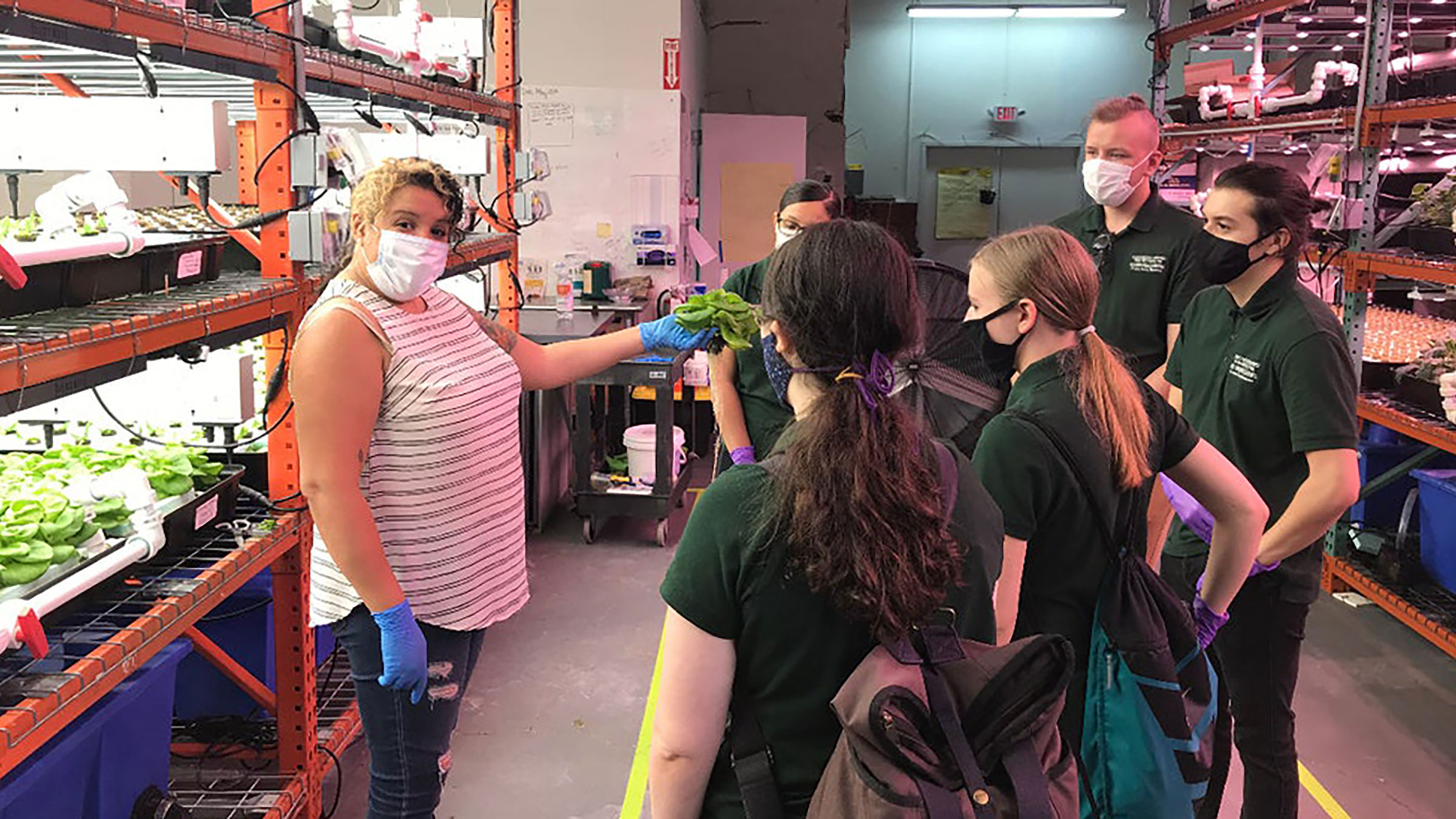 MSU PSEG ISS Green Teams Making An Environmental Difference In Newark ...