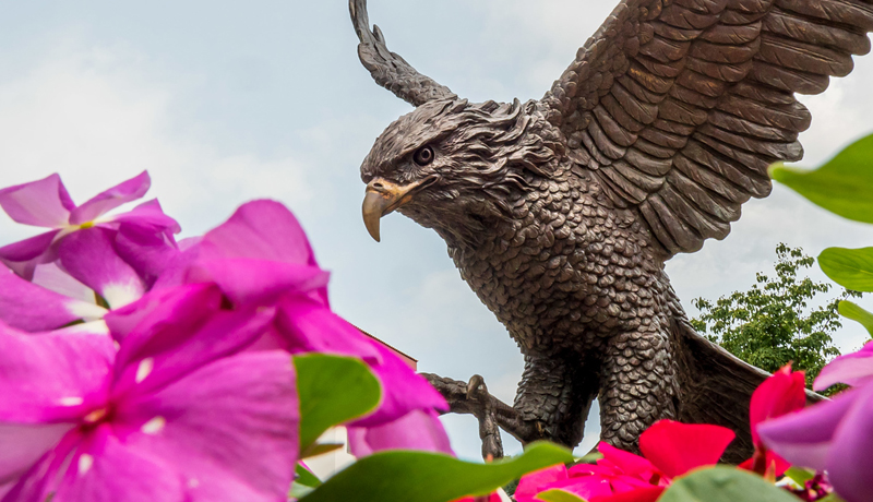 Red Hawk Central - Montclair State University