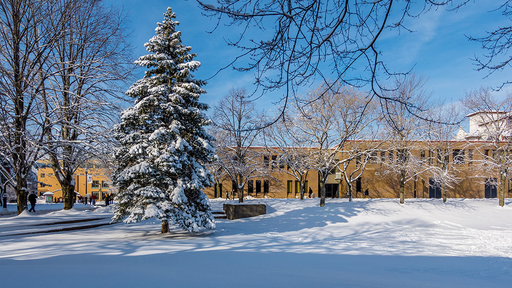 Red Hawk Central - Montclair State University