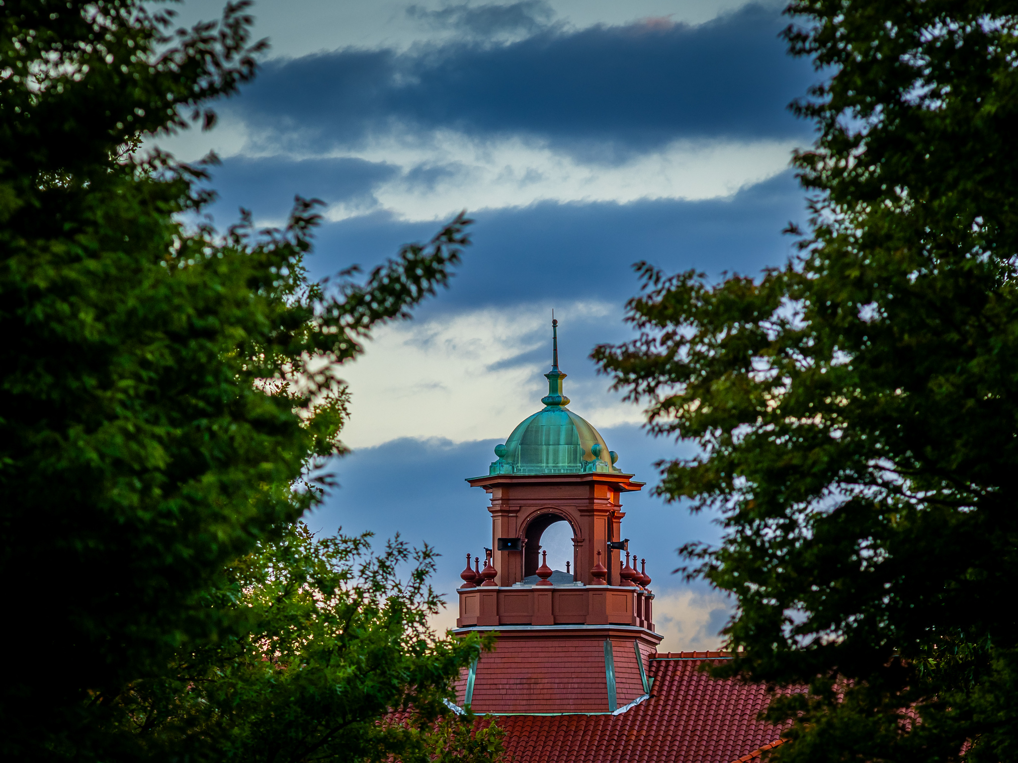 Red Hawk Central - Montclair State University