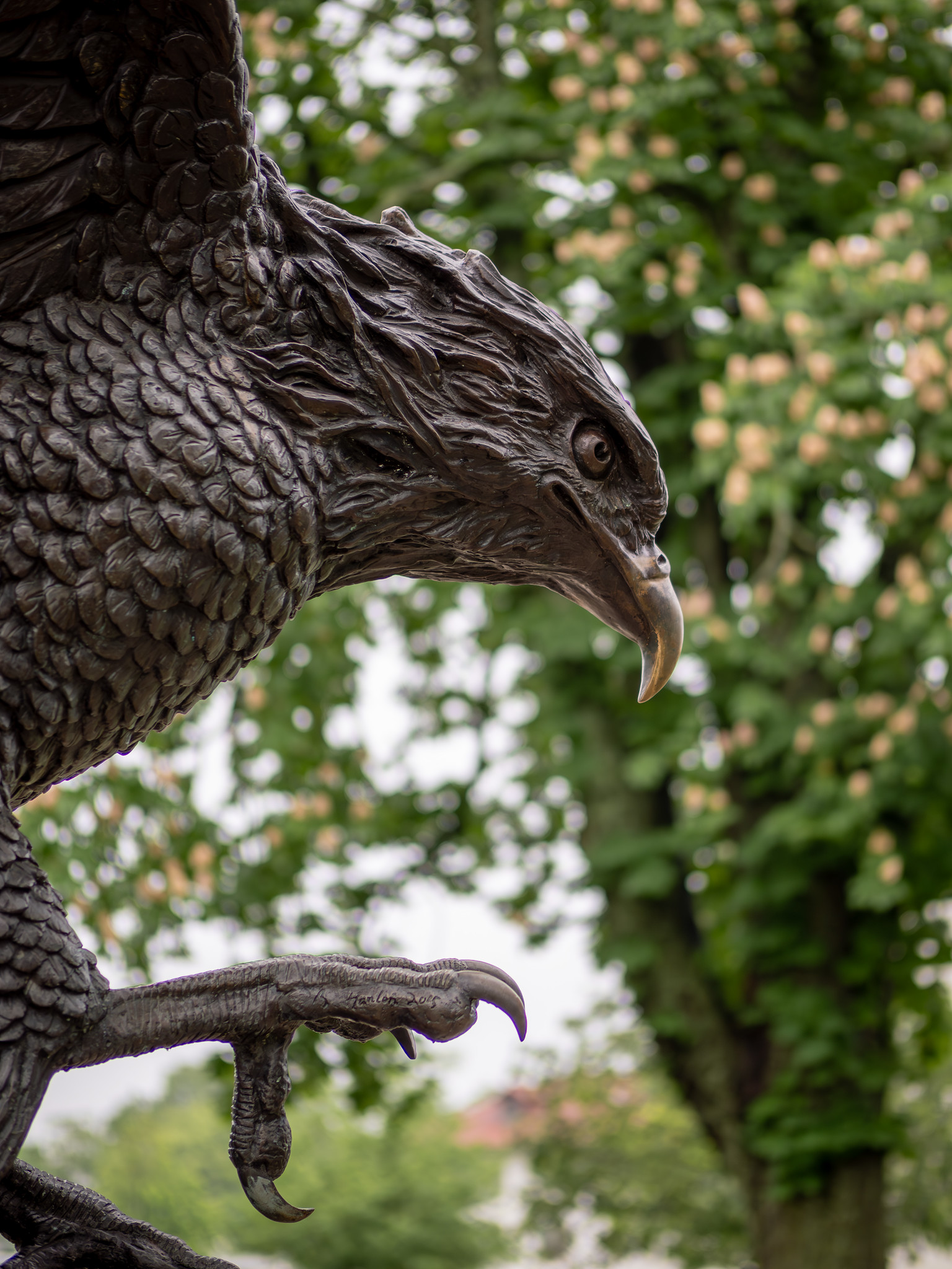 Red Hawk Central - Montclair State University