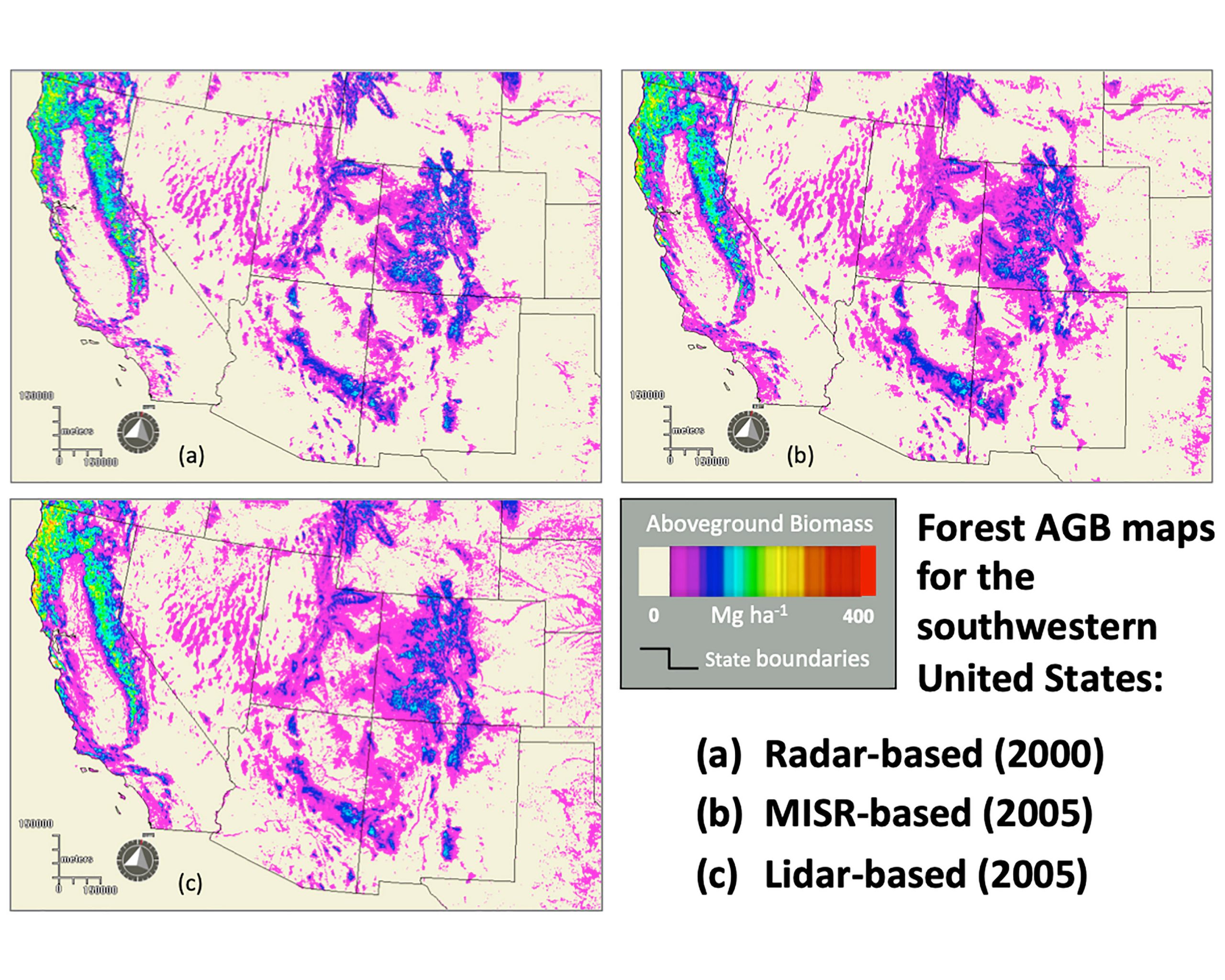Tracking Forest Biomass And Disturbance With NASA’s MISR – Remote ...