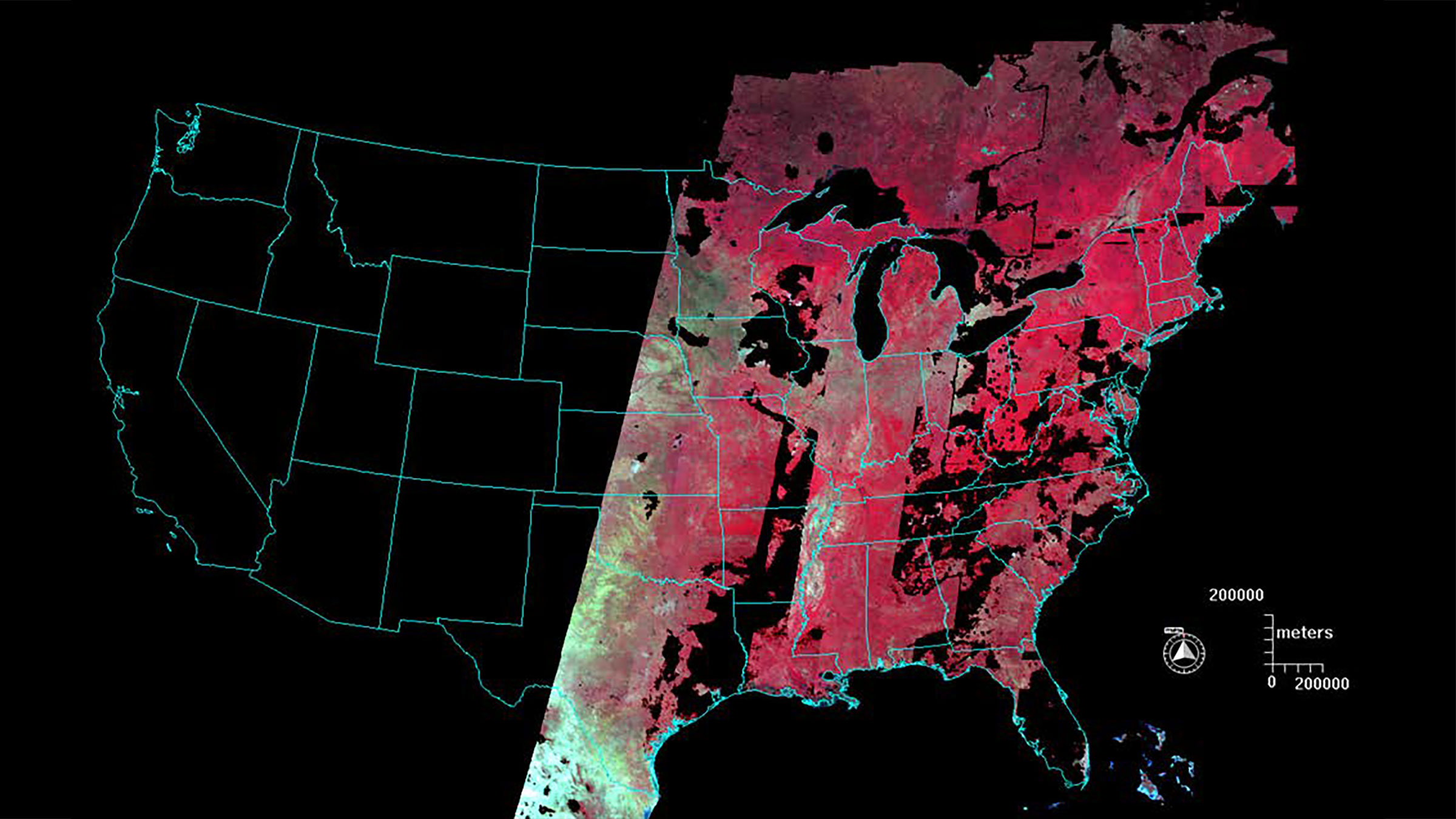 Two Decades Of Changes In Forest Biomass In The Contiguous United ...