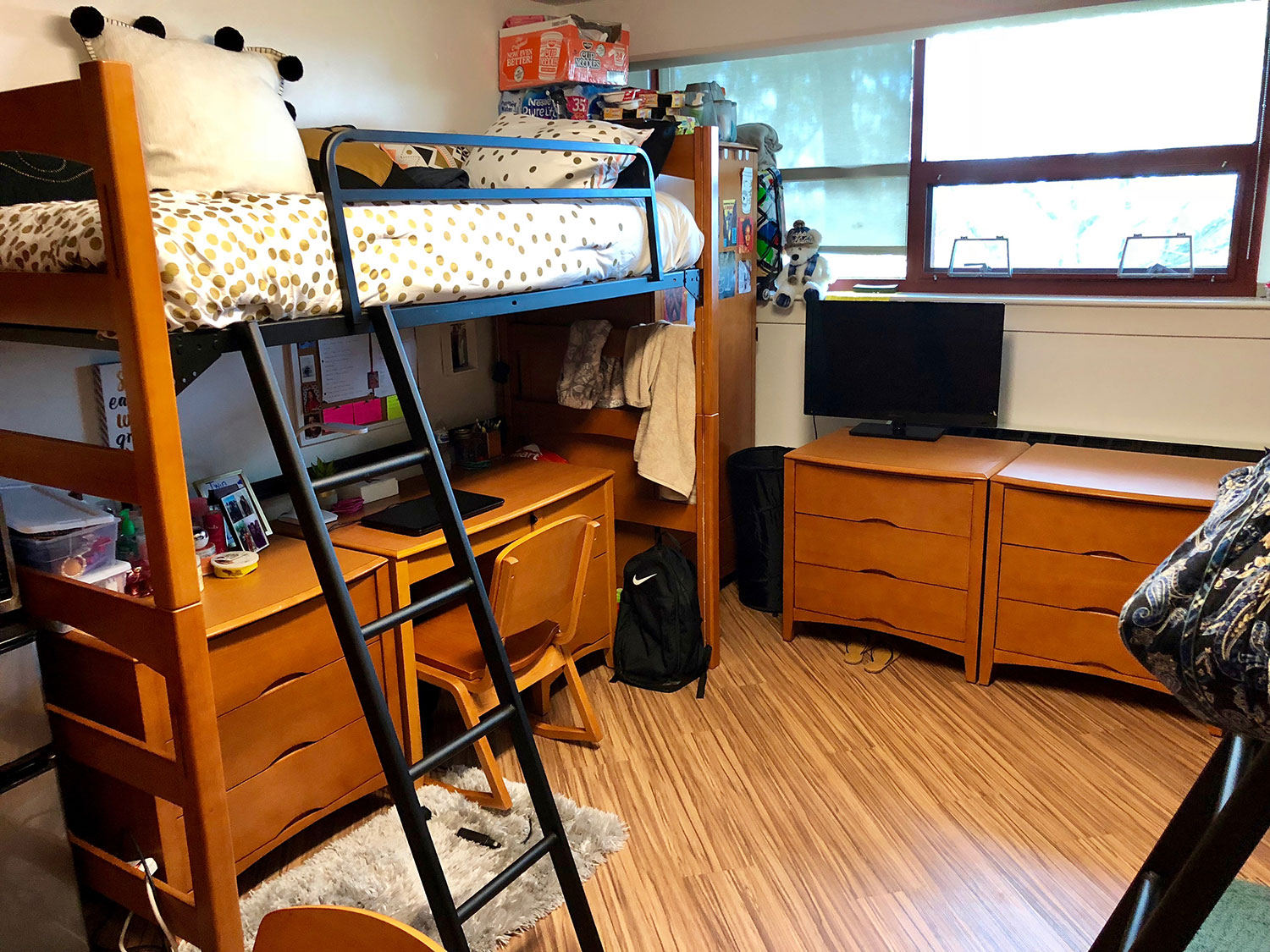 Stone Hall – Residence Life - Montclair State University