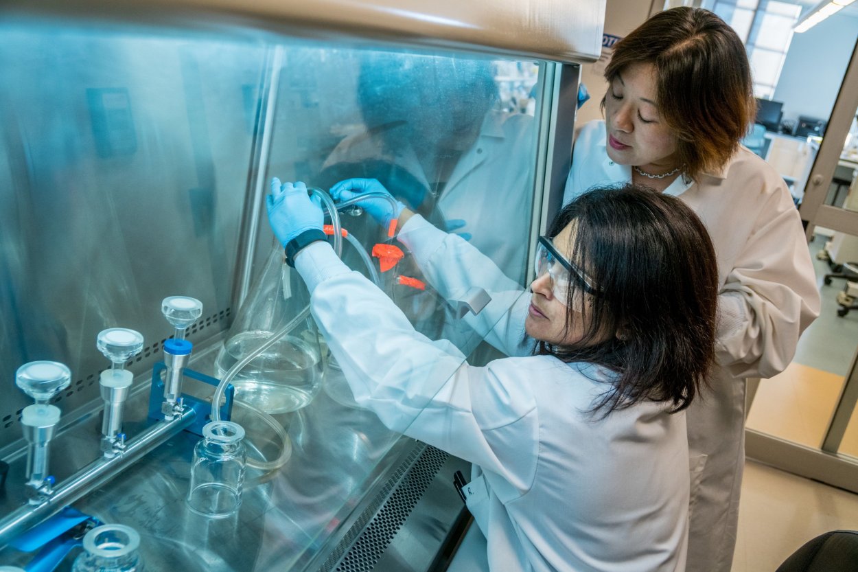 PhD In Environmental Science And Management (Doctoral) - Academics ...