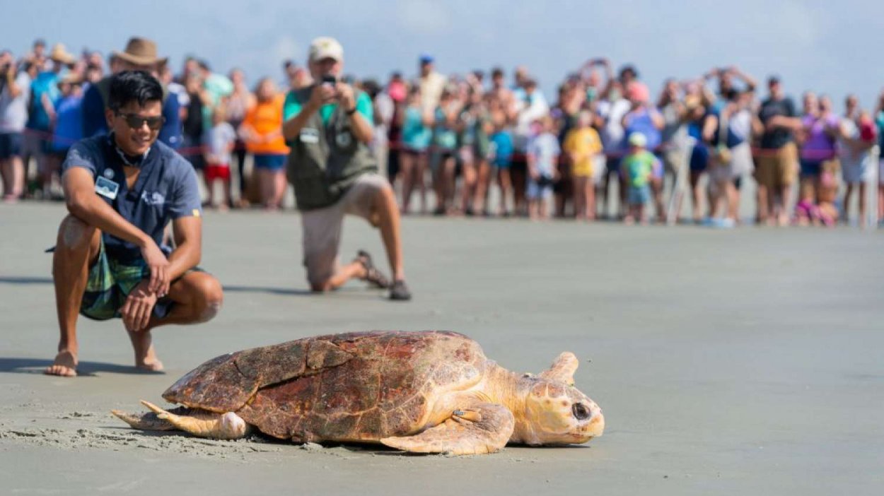 Matthew Khan ’15, ’17 MS – Alumni - Montclair State University