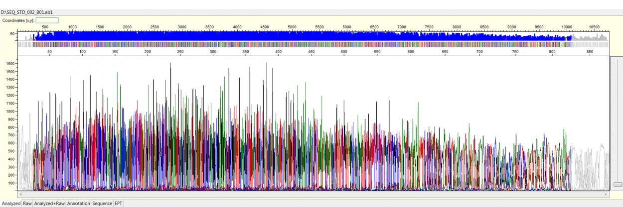 Capillary Electrophoresis – Biology - Montclair State University