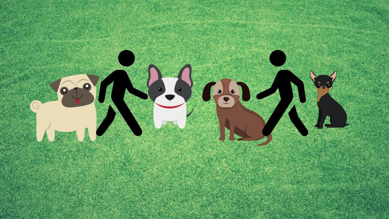 “Ruff House Rescue” Community Service Project – Campus Recreation ...