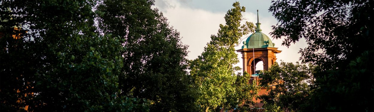 Canvas Administration – Canvas - Montclair State University