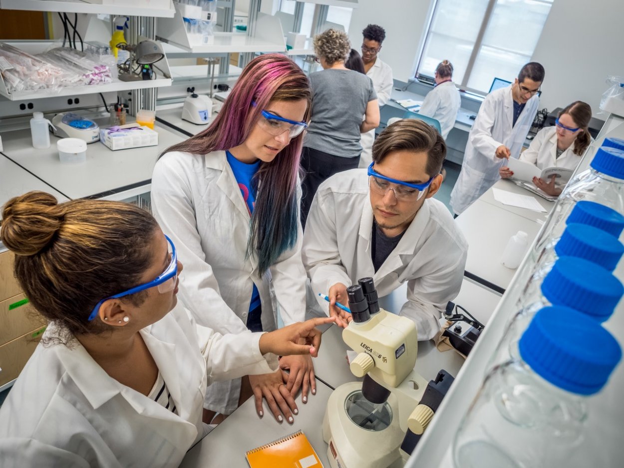 Graduate School Application Requirements – Career Services - Montclair ...