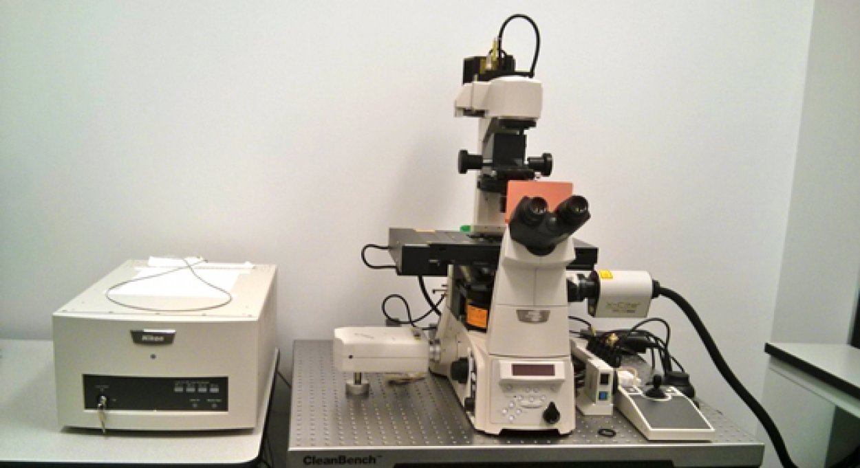 Nikon Confocal Microscope Seminar - University Calendar - Montclair ...