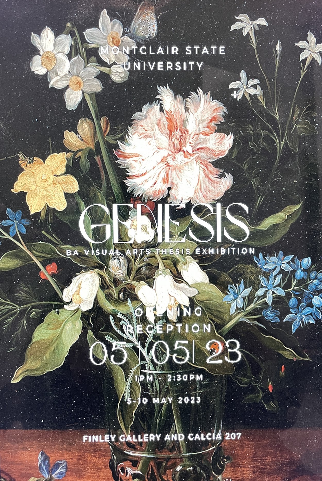 Genesis, BA Visual Arts Thesis Exhibition - University Calendar ...