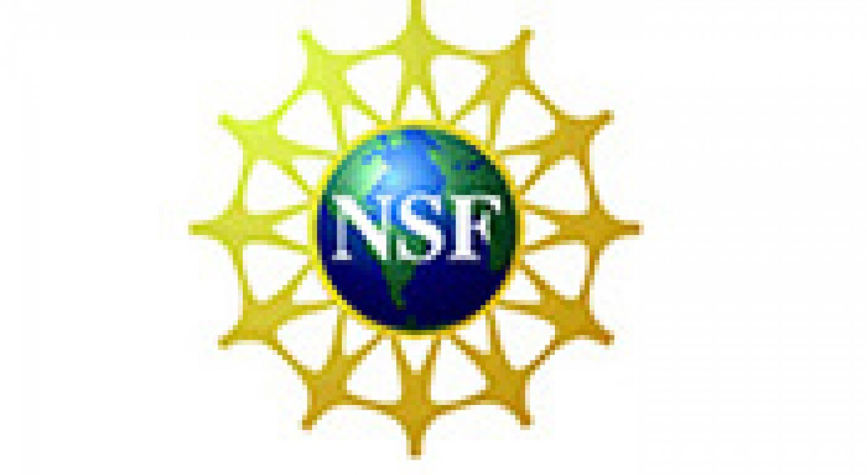 Dr. Nina Goodey Receives NSF S-STEM Grant – Chemistry And Biochemistry ...