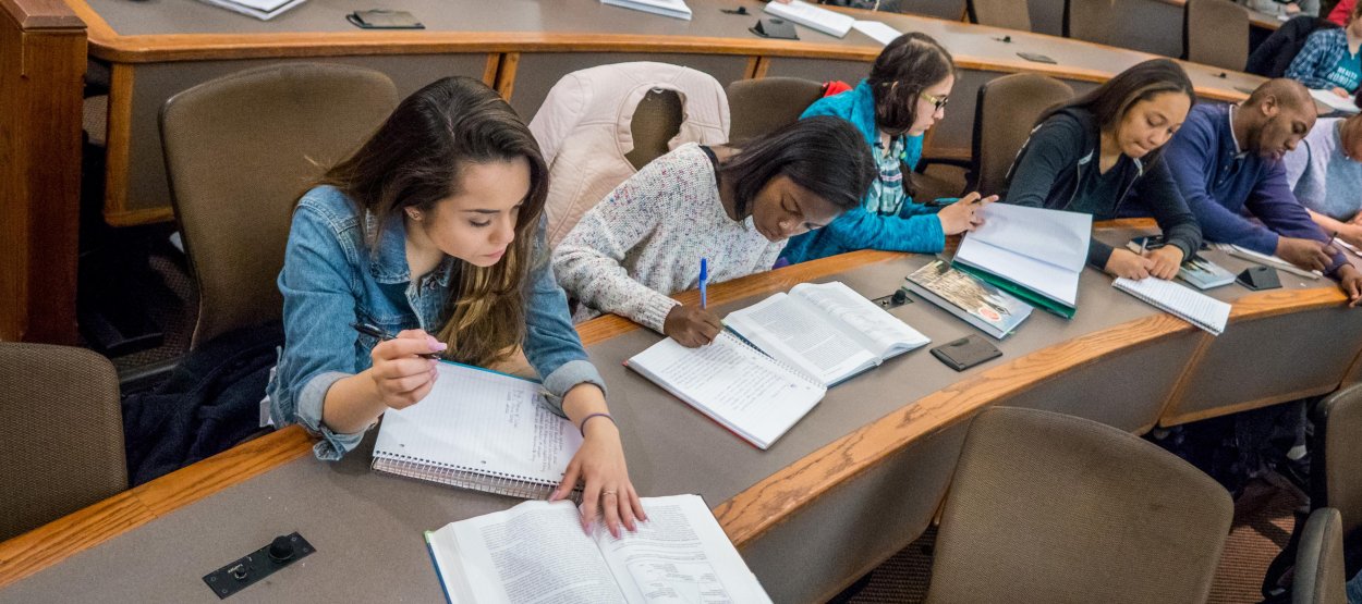 Undergraduate Studies – College Of Humanities And Social Sciences ...