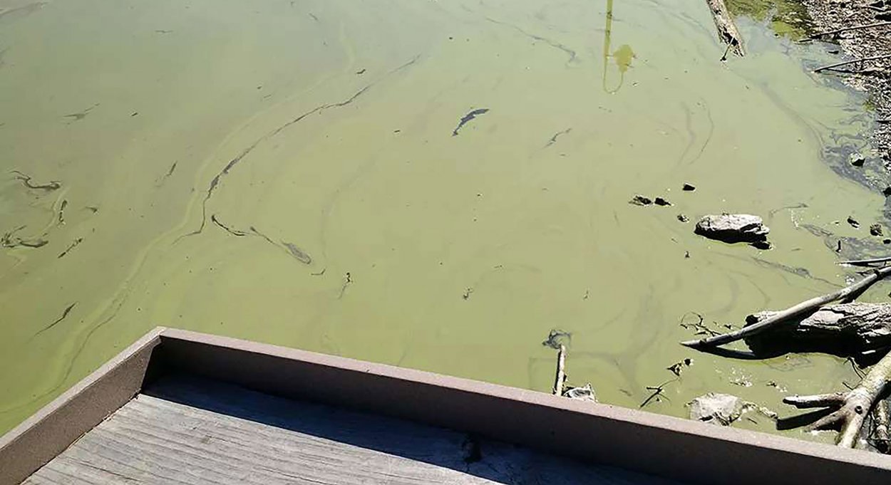 Water Science And Technology – College Of Science And Mathematics ...