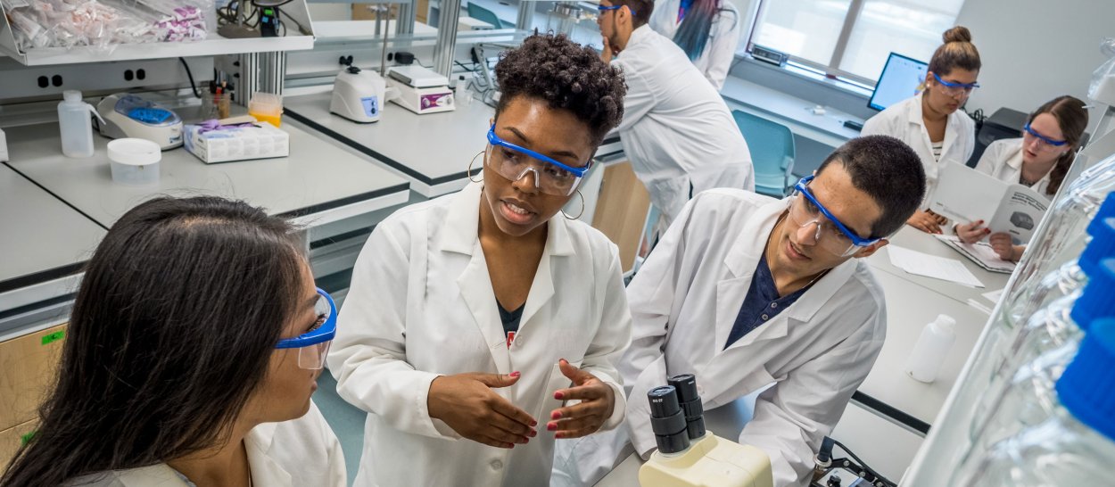 Louis Stokes Alliance For Minority Participation (LSAMP) – College Of ...